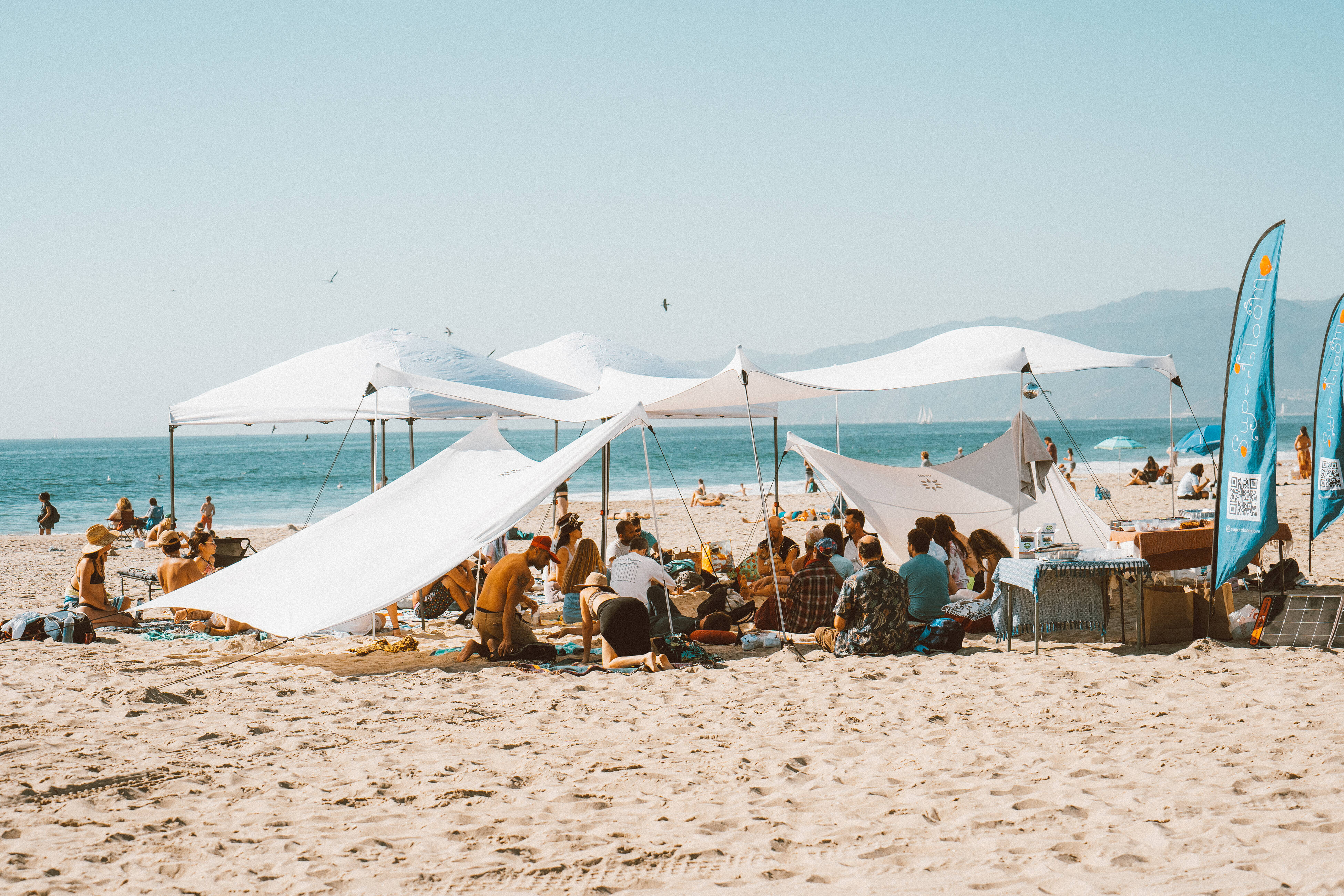 Superbloom Collective · Events Calendar