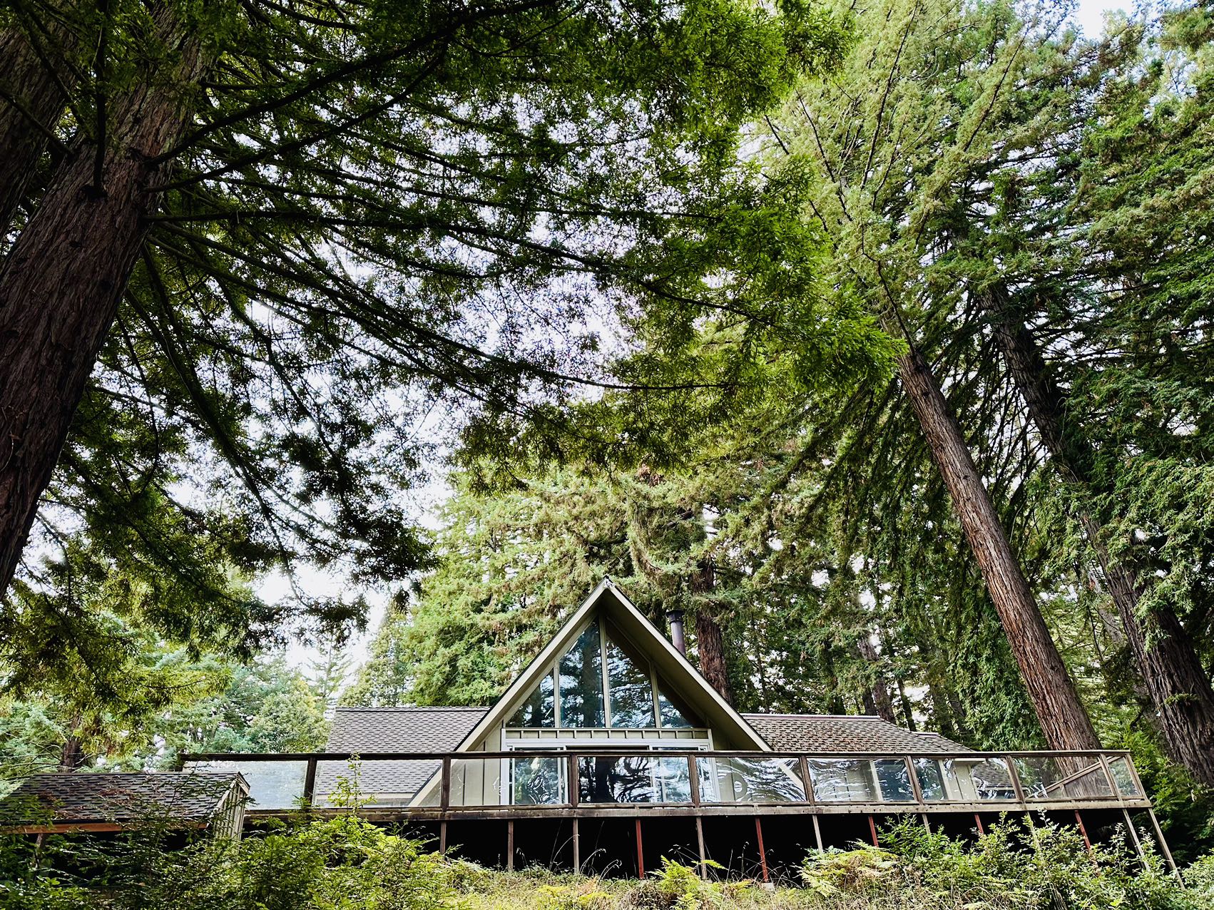 InLight Foundation · Events Calendar