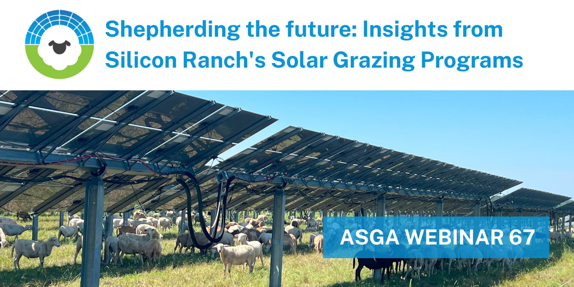 ASGA Call 67: Shepherding the future - Insights from Silicon Ranch's ...