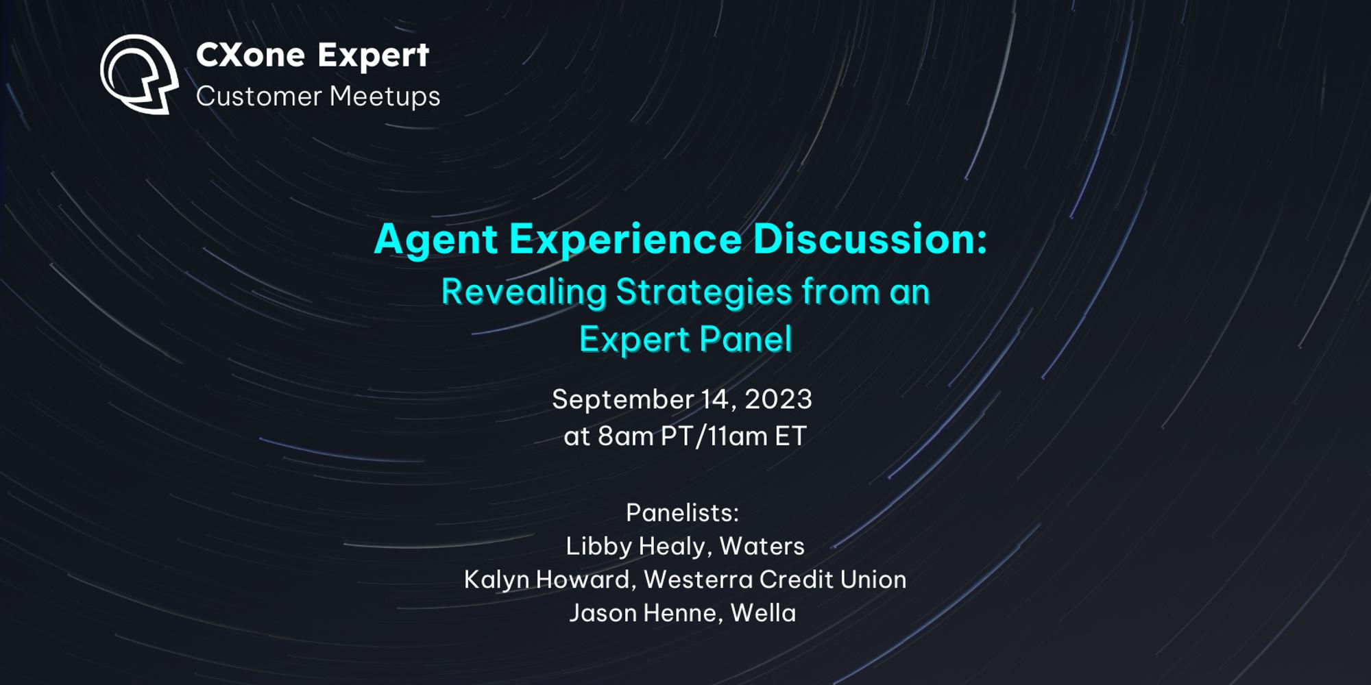 Agent Experience Discussion: Revealing Strategies from an Expert Panel ...