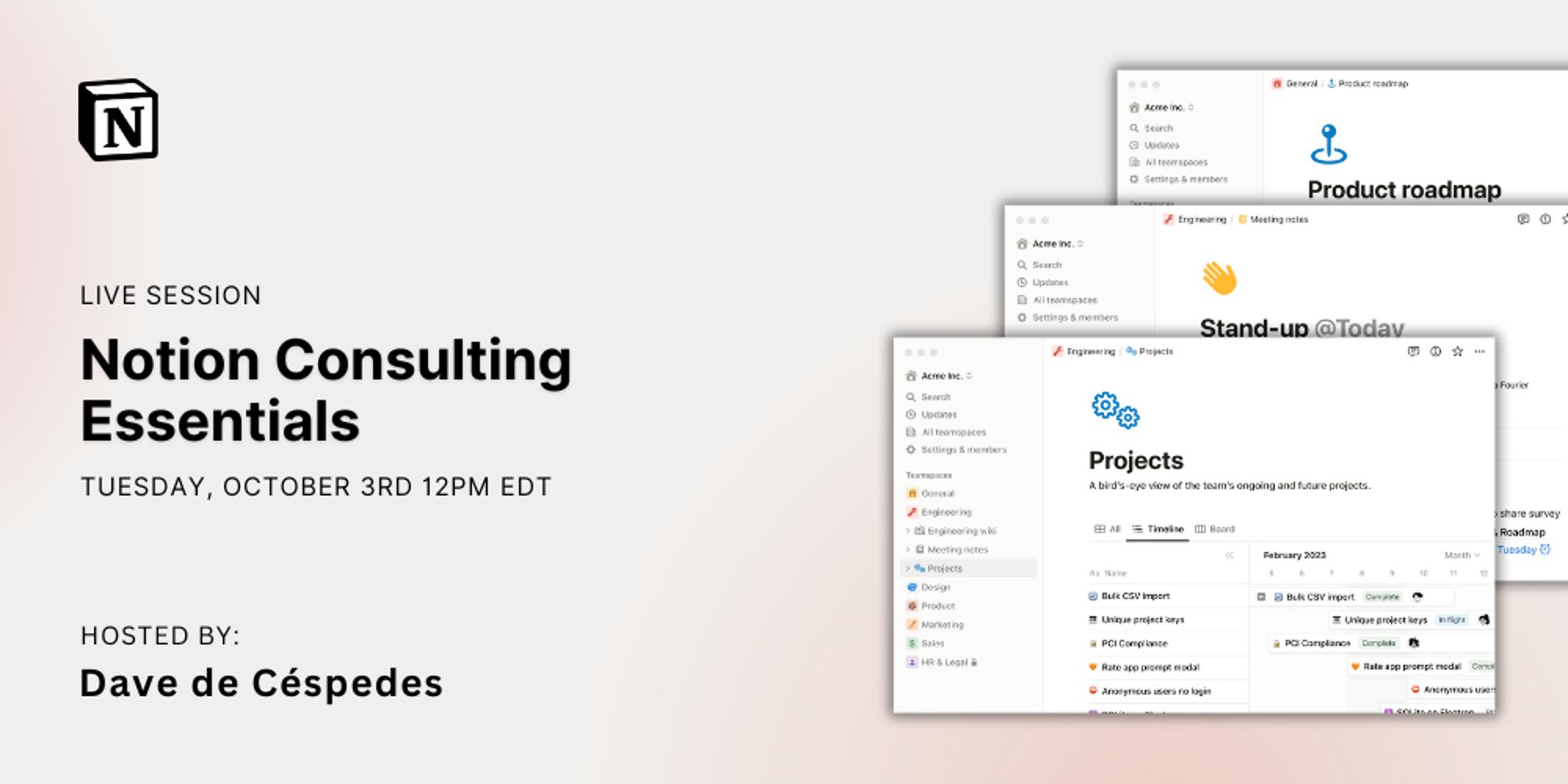 Notion Consulting Essentials · Zoom · Luma