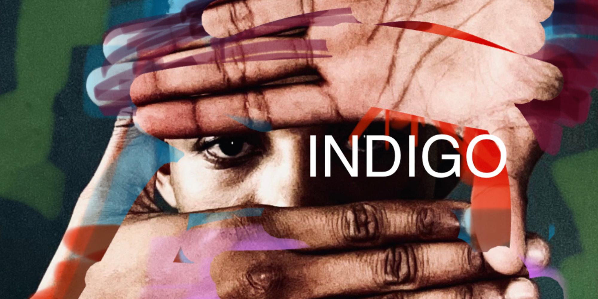 Indigo Book Launch · Zoom · Luma