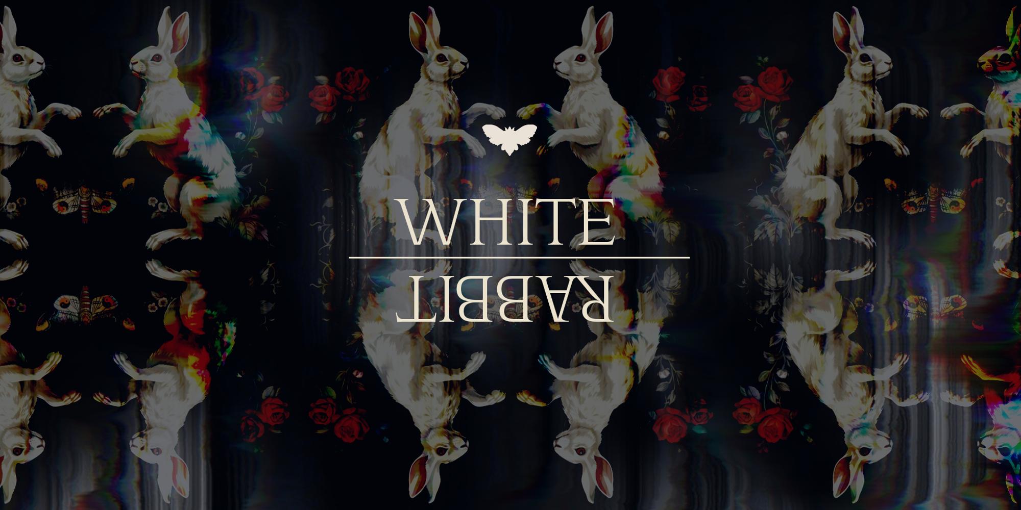 Vapoura HAUS - White Rabbit · Luma