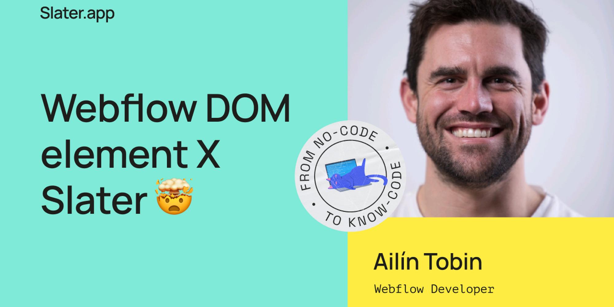 Webflow DOM element X Slater ⚡️ · Luma