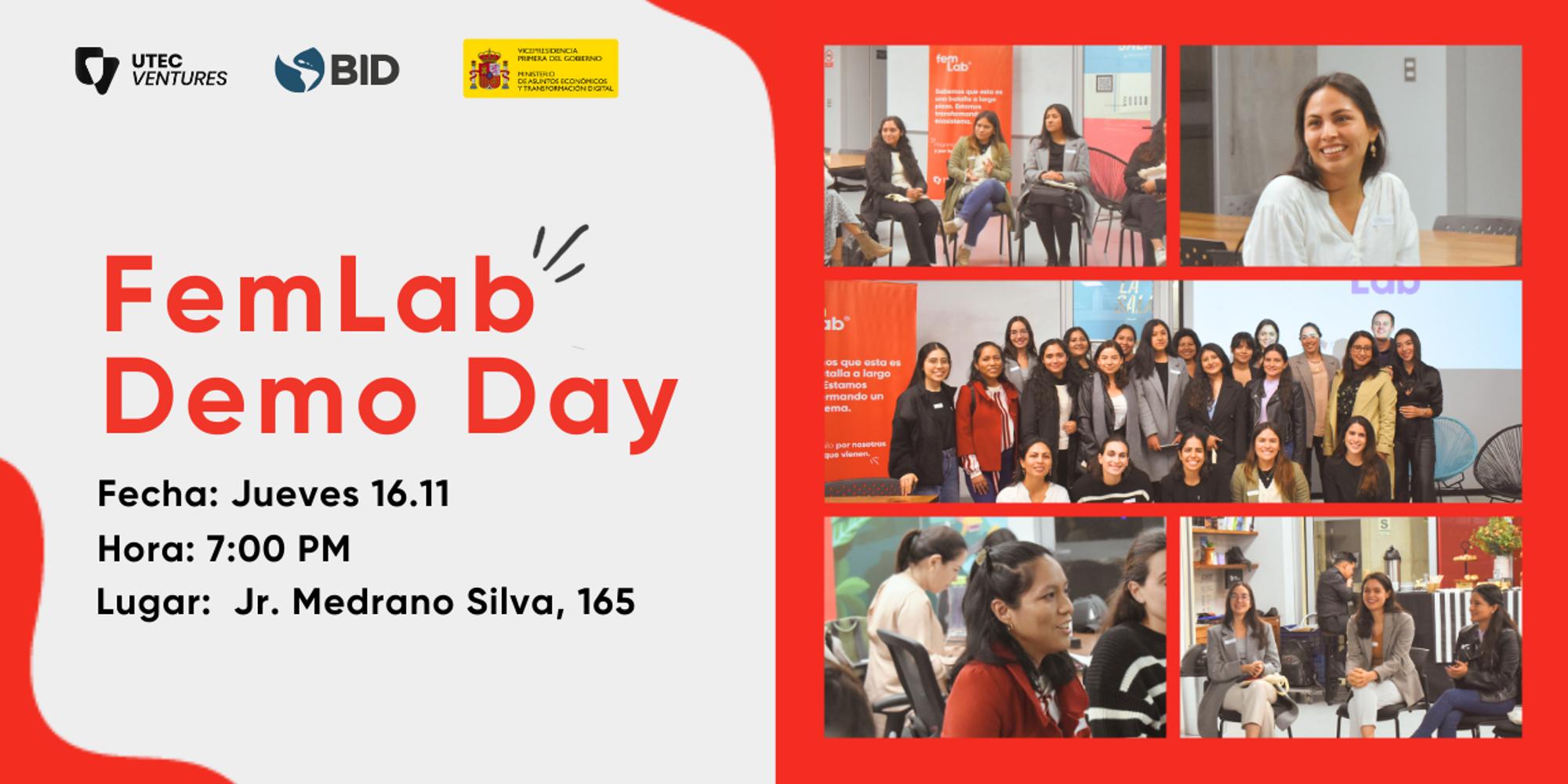 FemLab: Demo Day · Luma