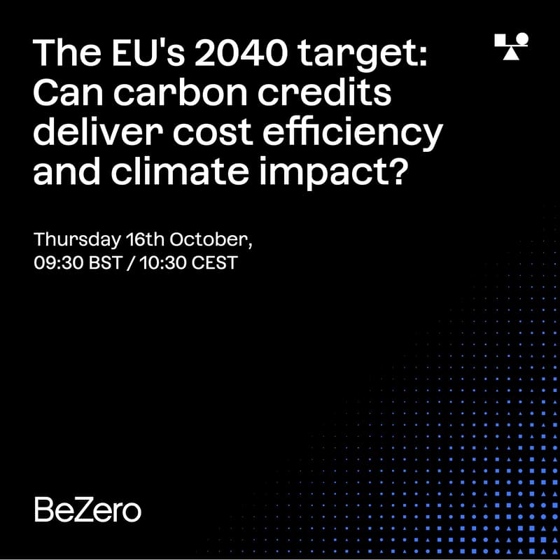 The EU's 2040 target: Can carbon credits deliver cost efficiency and ...