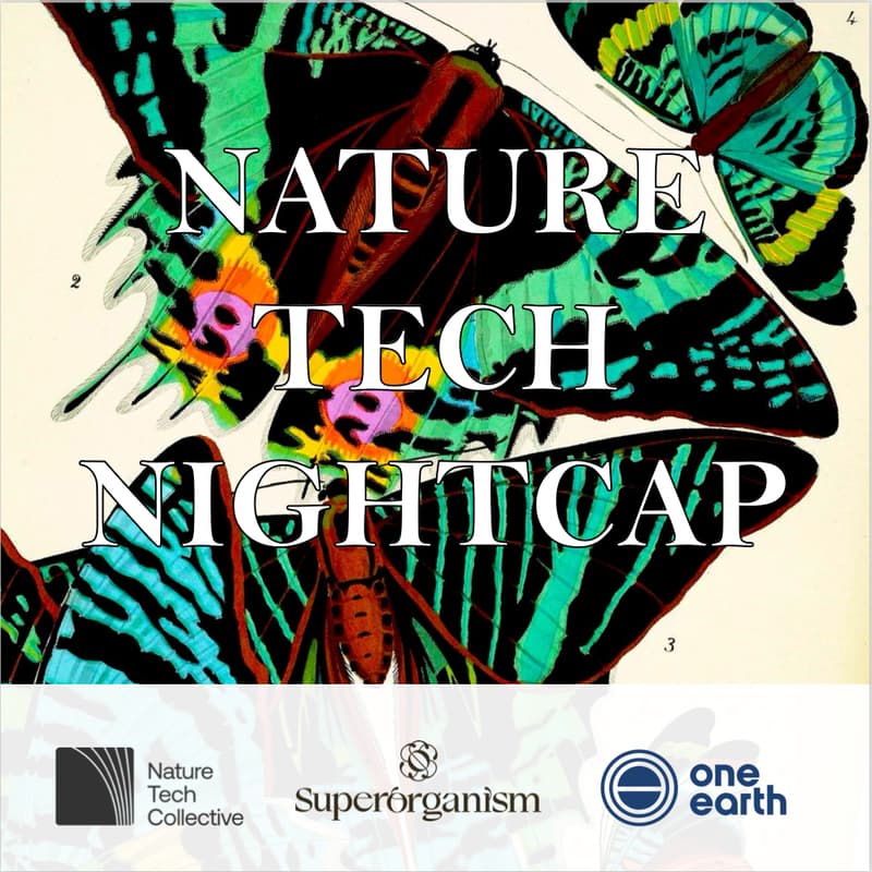 Nature Tech Nightcap · Luma