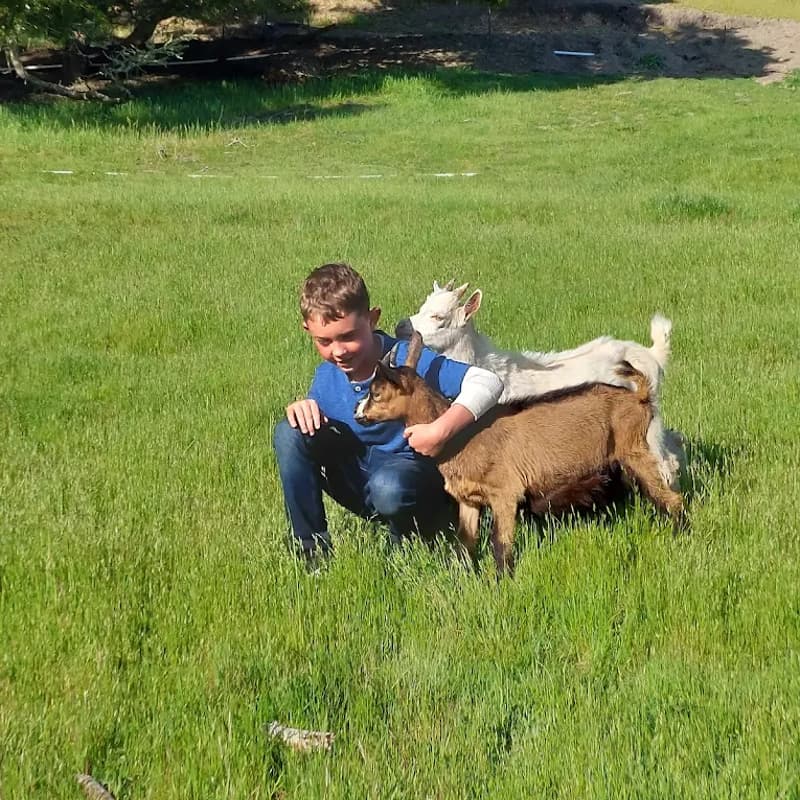 Sunday Funday Off-Grid Half Moon Bay Farm Gathering · Luma