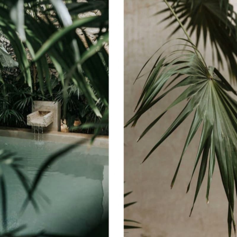 Spiritual Gala Event | Self Love Vendor Booths | Cacao Ceremony ...