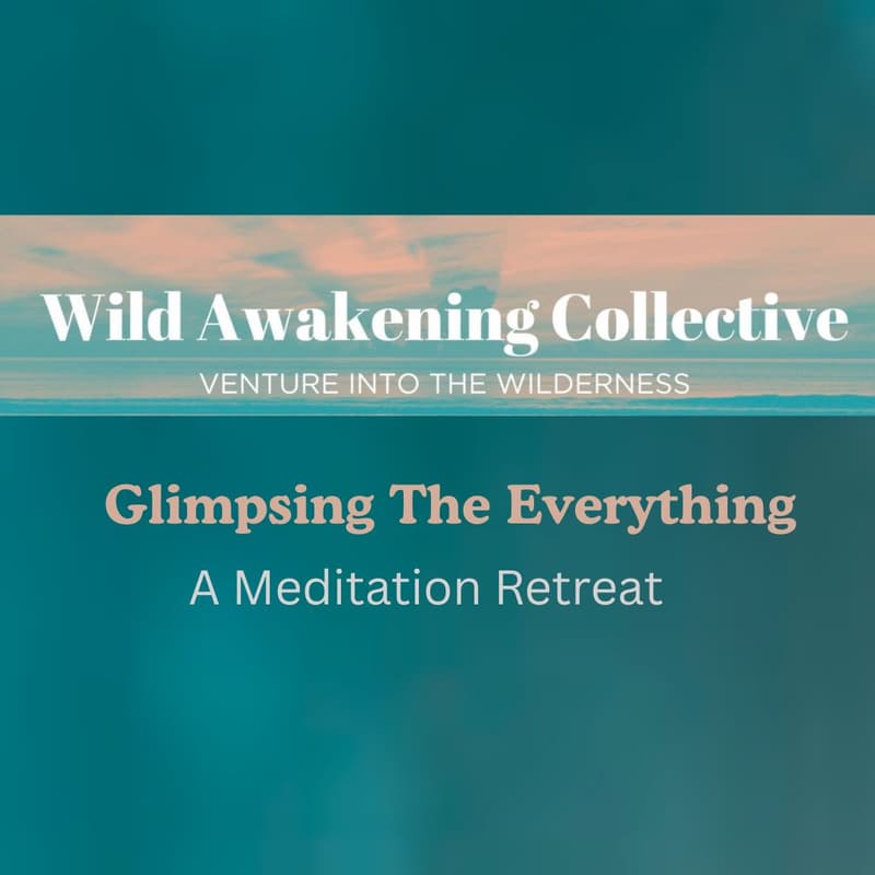 Glimpsing The Everything: A Wild Awakening Collective Meditation ...