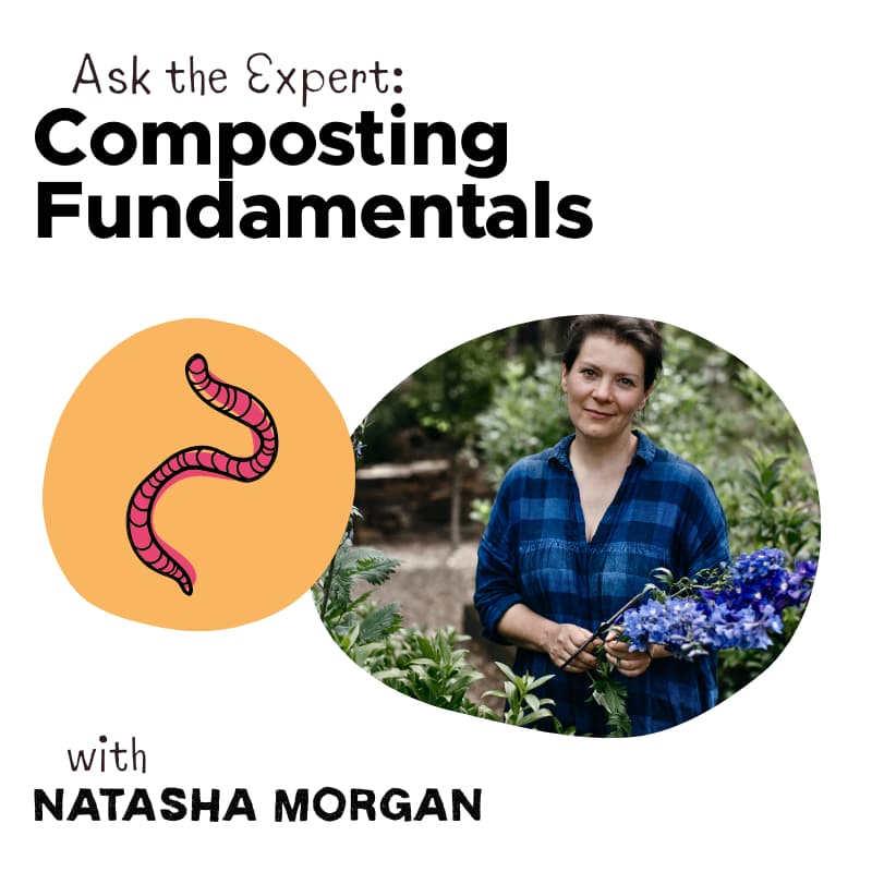 Composting Fundamentals: Turning Waste into Wealth for Your Garden · Luma