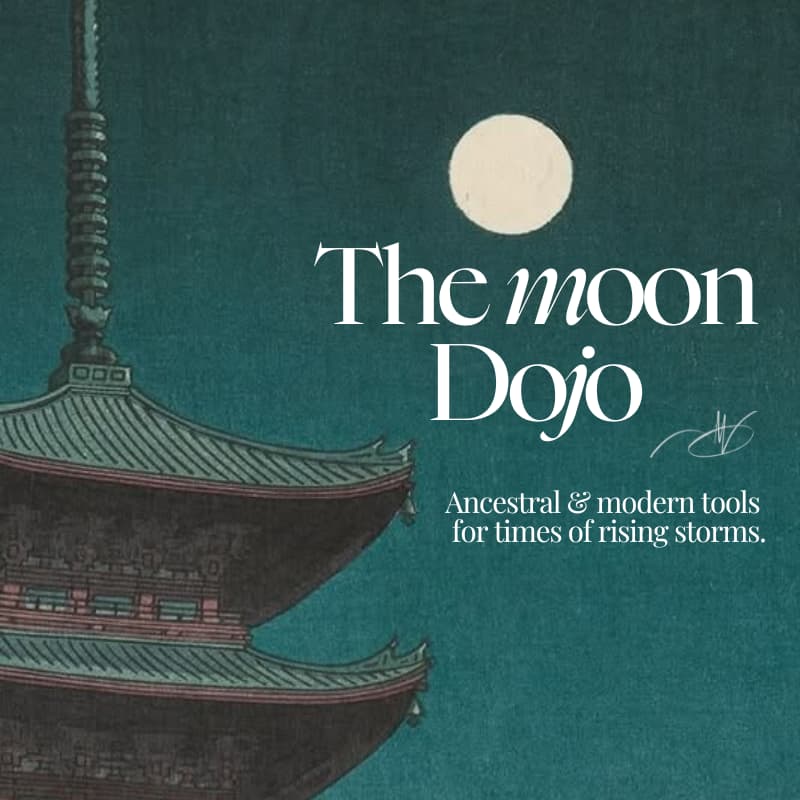 The Moon Dojo — Community Call · Zoom · Luma