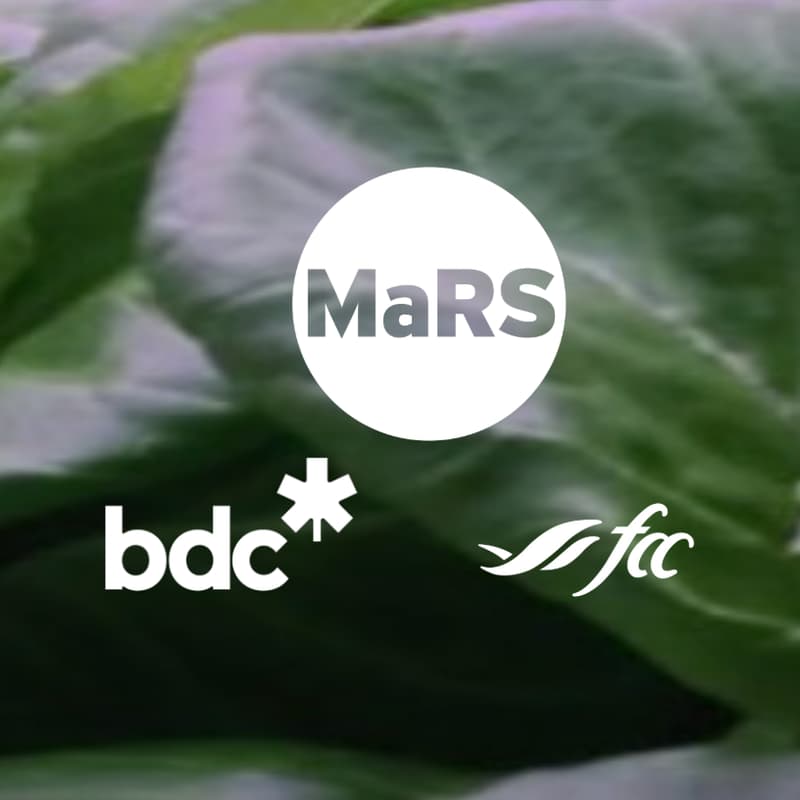 Mission from MaRS: Food & AgTech Mixer · Luma