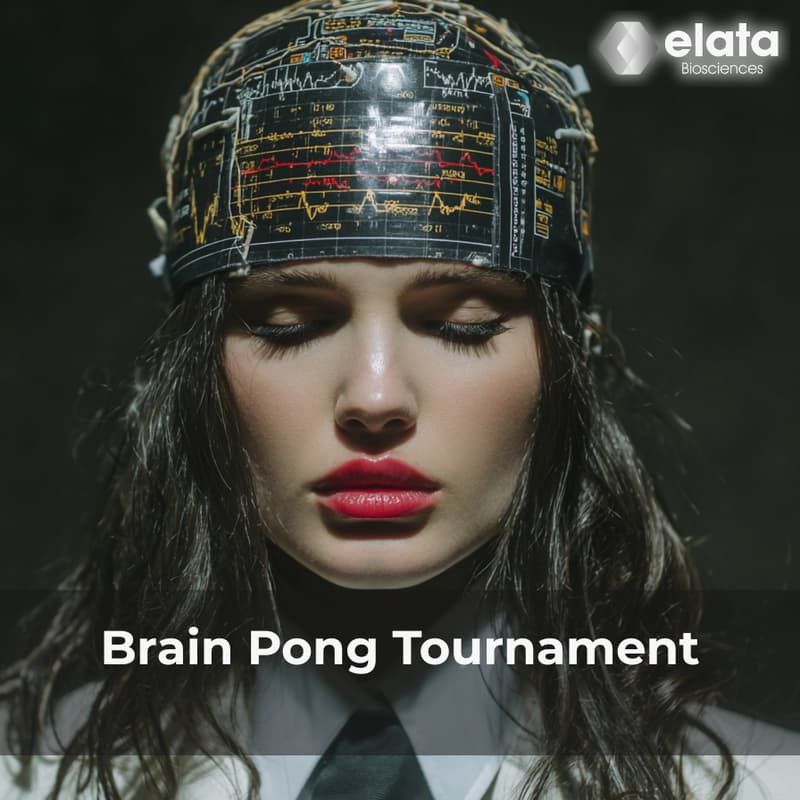 Brain Pong Tournament · Luma