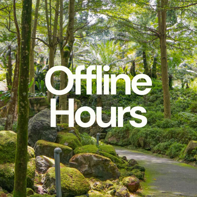 Offline Hours: Morning Walk in Botanic Gardens · Luma
