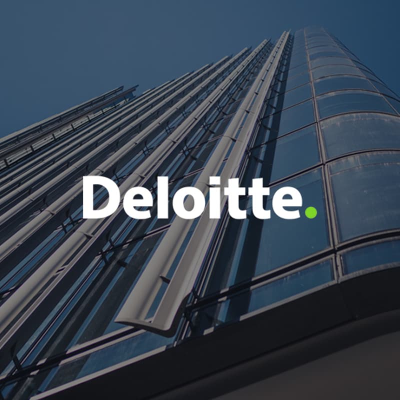 Deloitte & Black Apprentice Network - Webinar Day · Zoom · Luma