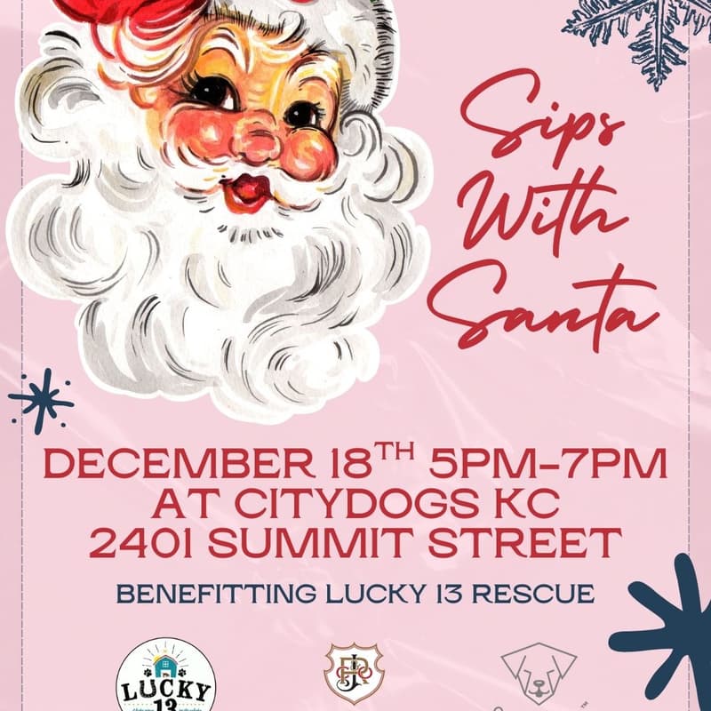 Sips with Santa · Luma