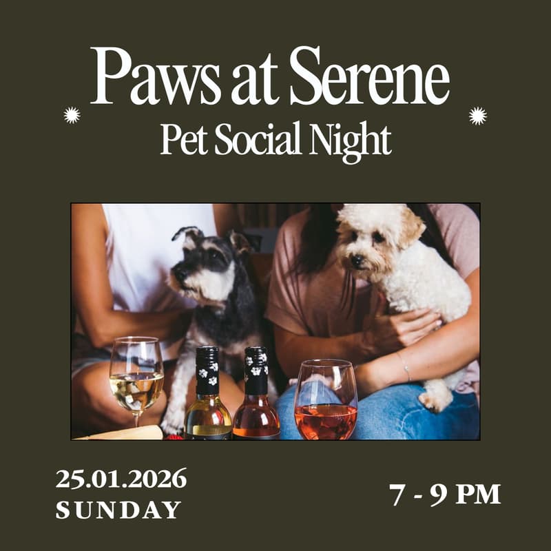 Paws at Serene: Pet Social Night · Luma
