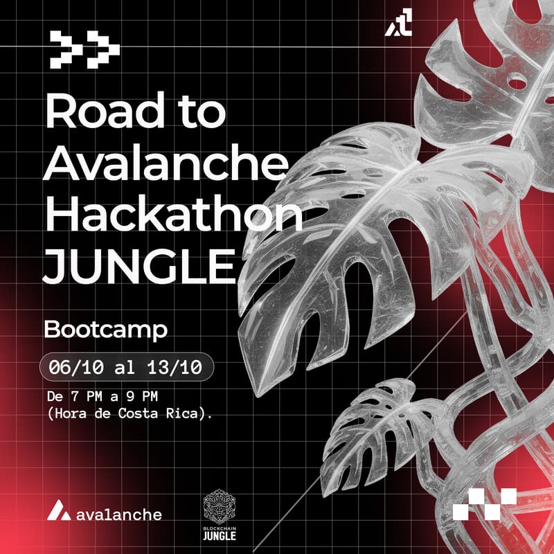 Bootcamp - Road to Avalanche Hackathon JUNGLE · Luma