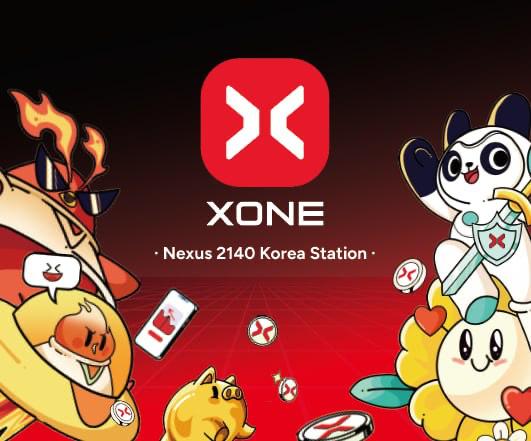 Xone Dashboard | Make the Value Visible